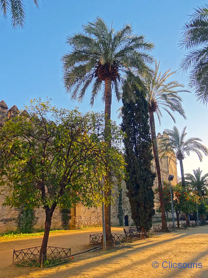 La mosquée-cathédrale et le centre historique de Cordoue - La souris ...