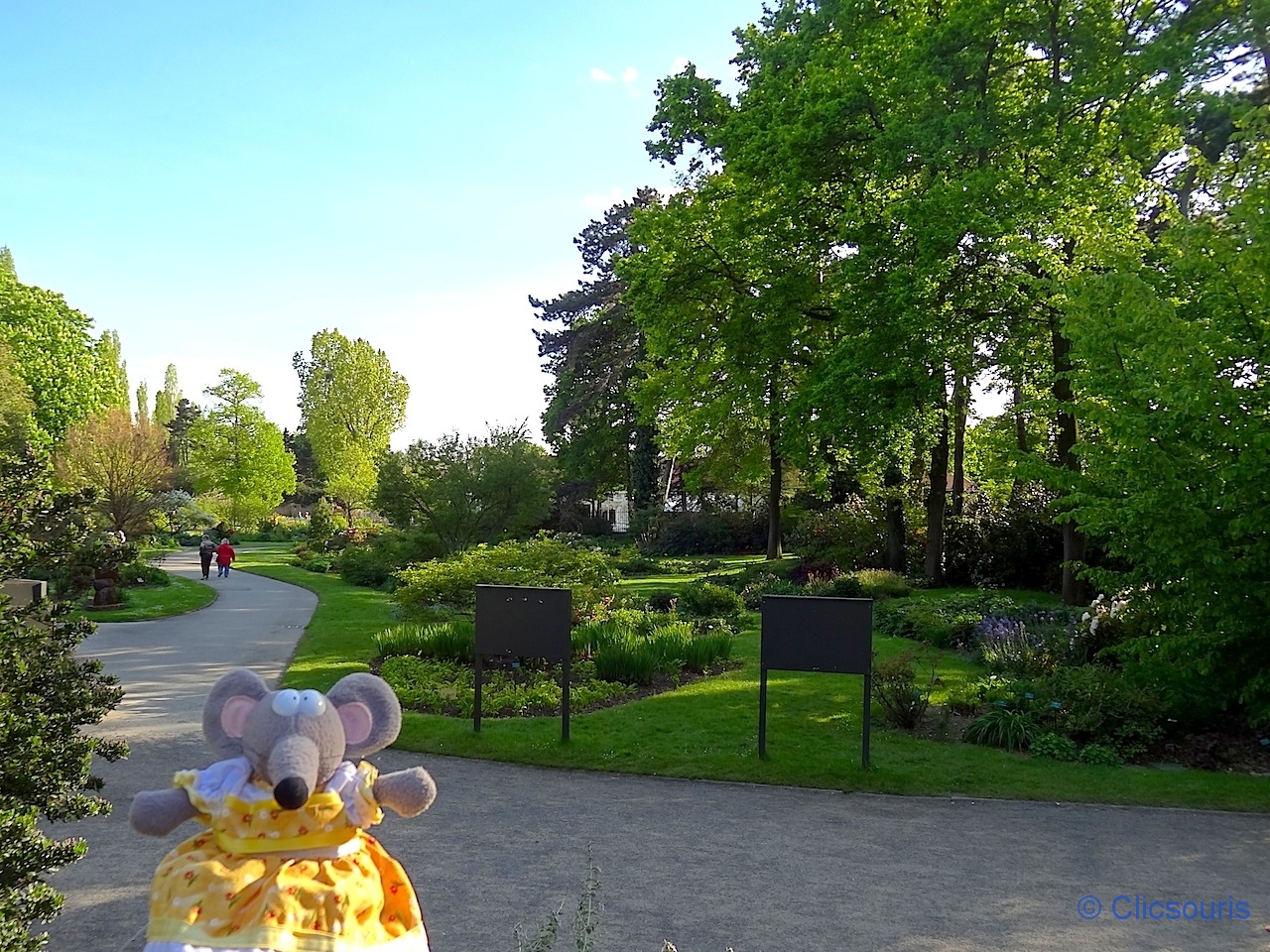 Le parc floral de Paris et ses floraisons : visite en photos, tarifs ...