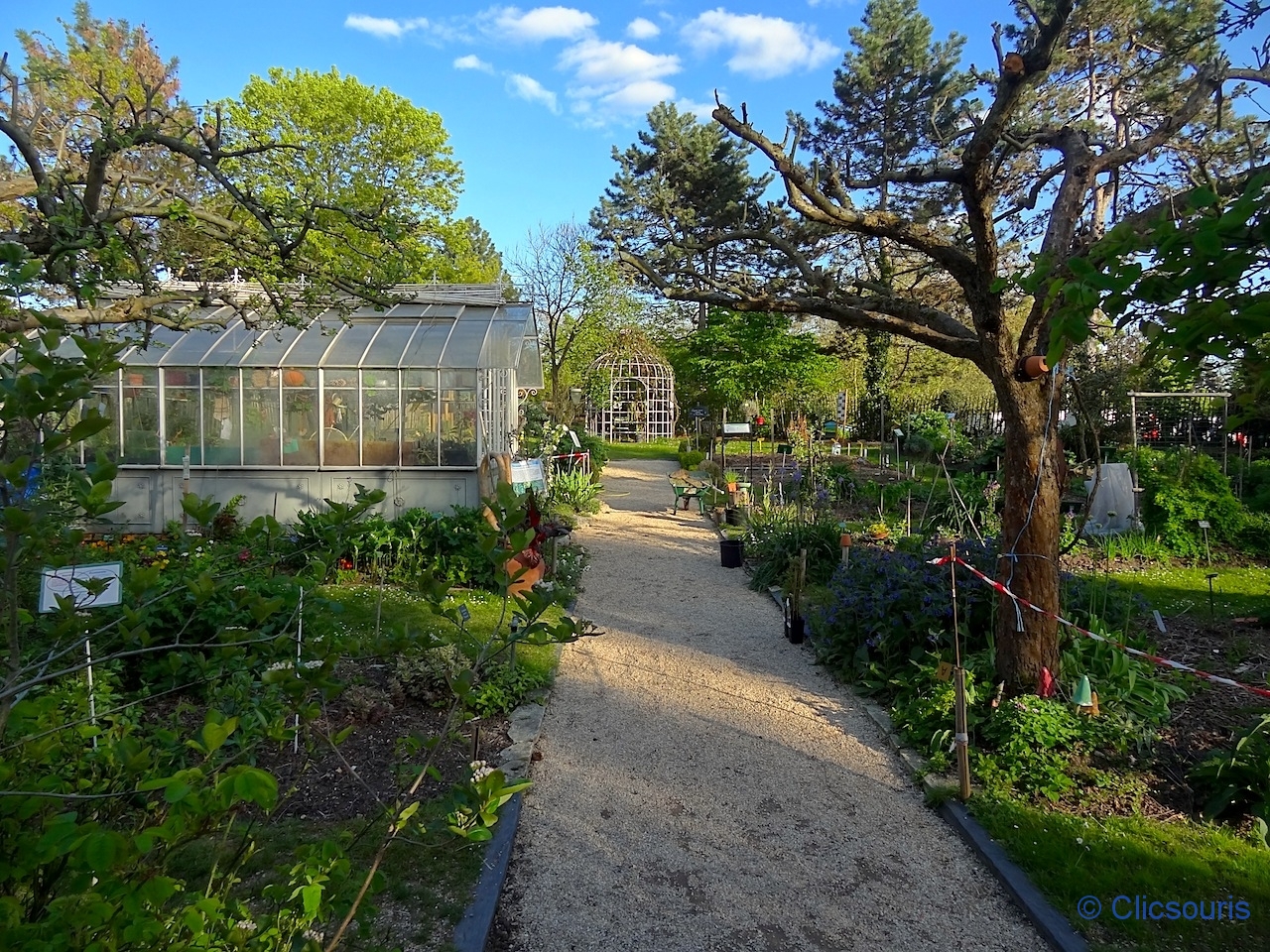 Le parc floral de Paris et ses floraisons : visite en photos, tarifs ...