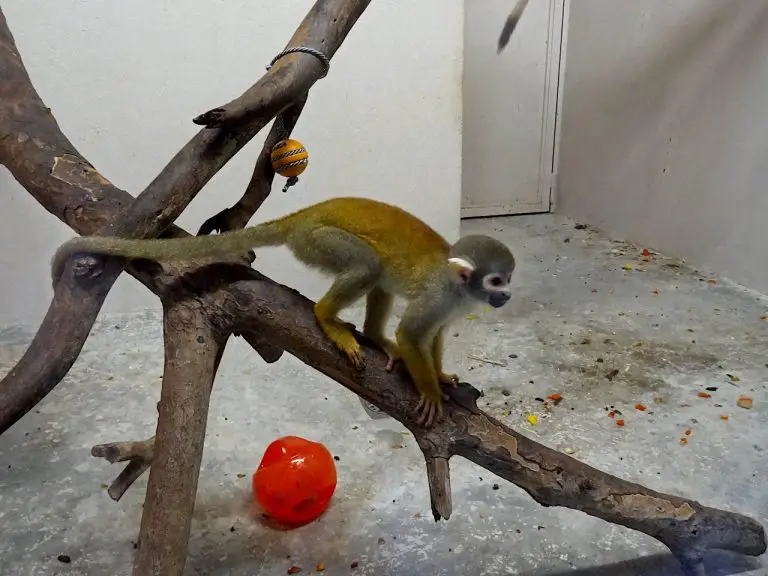 Que visiter, que faire à Monaco en 1, 2 ou 3 jours - La souris globe ...