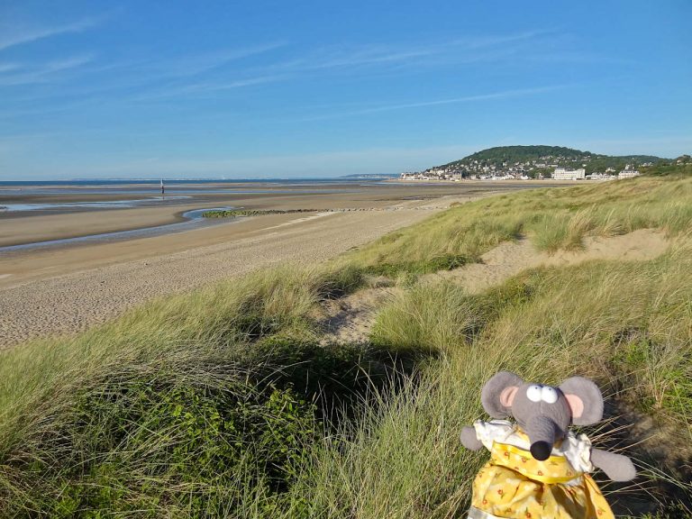 Visiter la Côte Fleurie : que faire et voir sur le littoral du Calvados ...