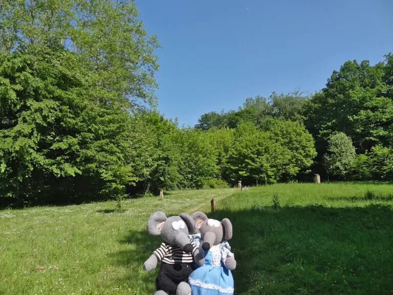 Que visiter, que faire à Lyons-la-Forêt et ses environs - La souris ...