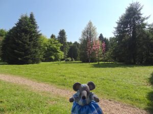 Que visiter, que faire à Lyons-la-Forêt et ses environs - La souris ...