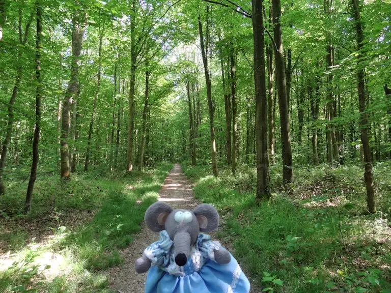 Que visiter, que faire à Lyons-la-Forêt et ses environs - La souris ...