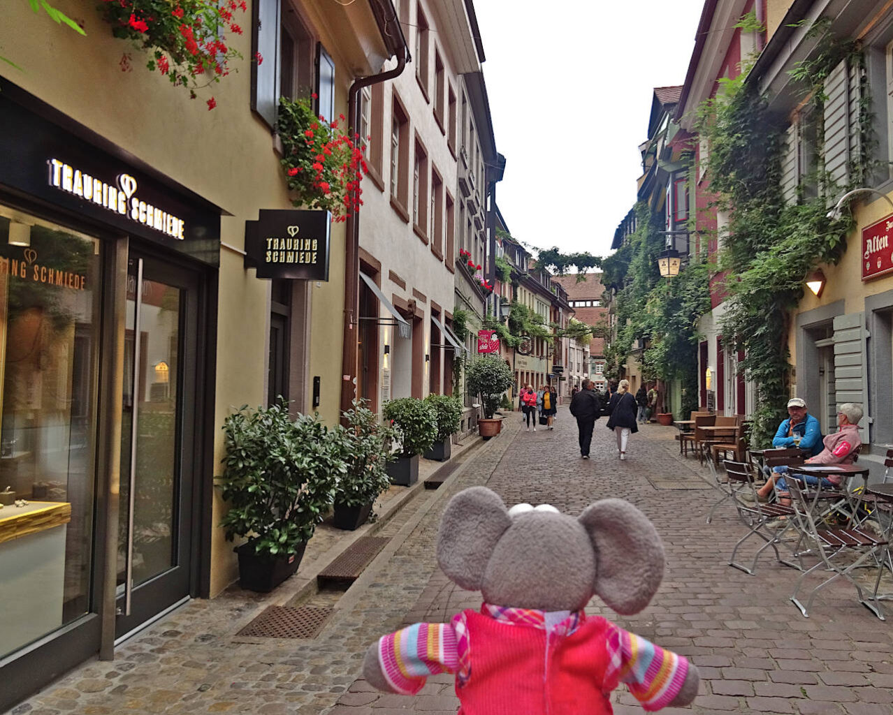 Que visiter, que faire à Freiburg im Breisgau en 1 jour ou 2 jours - La ...