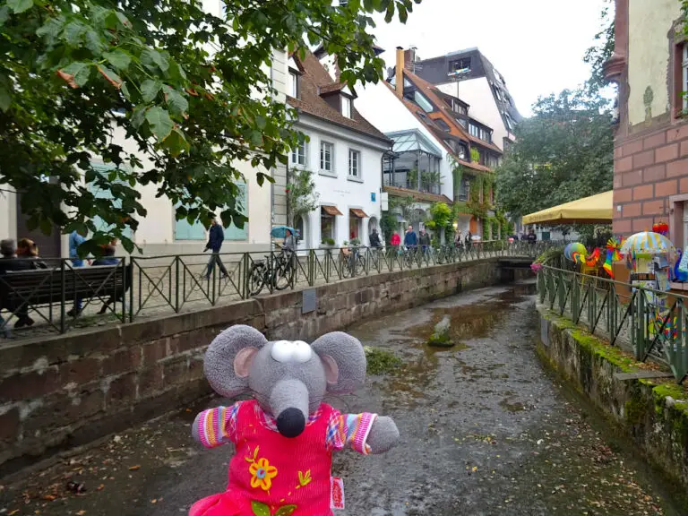 Que visiter, que faire à Freiburg im Breisgau en 1 jour ou 2 jours - La ...