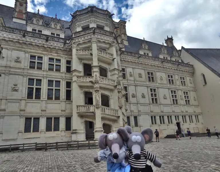 Que visiter, que faire à Blois et son château royal - La souris globe ...
