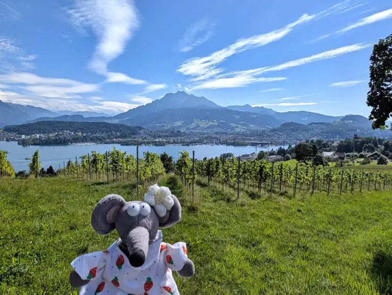Que visiter, que faire à Lucerne en 1, 2 ou 3 jours : avis et ...