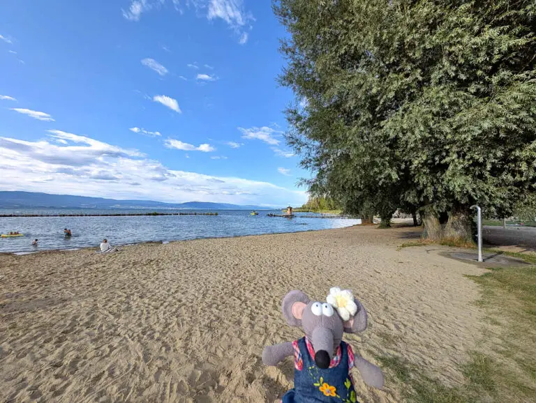 Que visiter, que faire à Estavayer-le-Lac - La souris globe-trotteuse