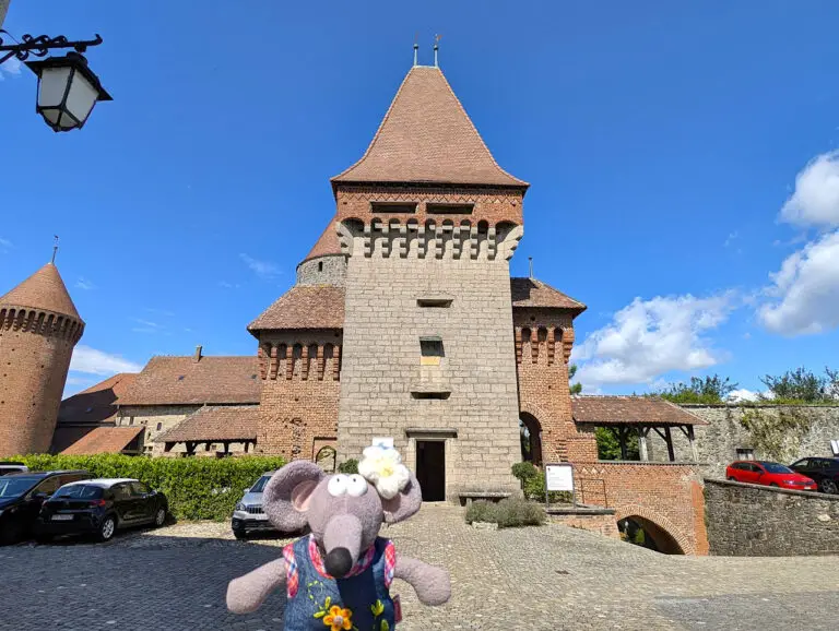 Que visiter, que faire à Estavayer-le-Lac - La souris globe-trotteuse